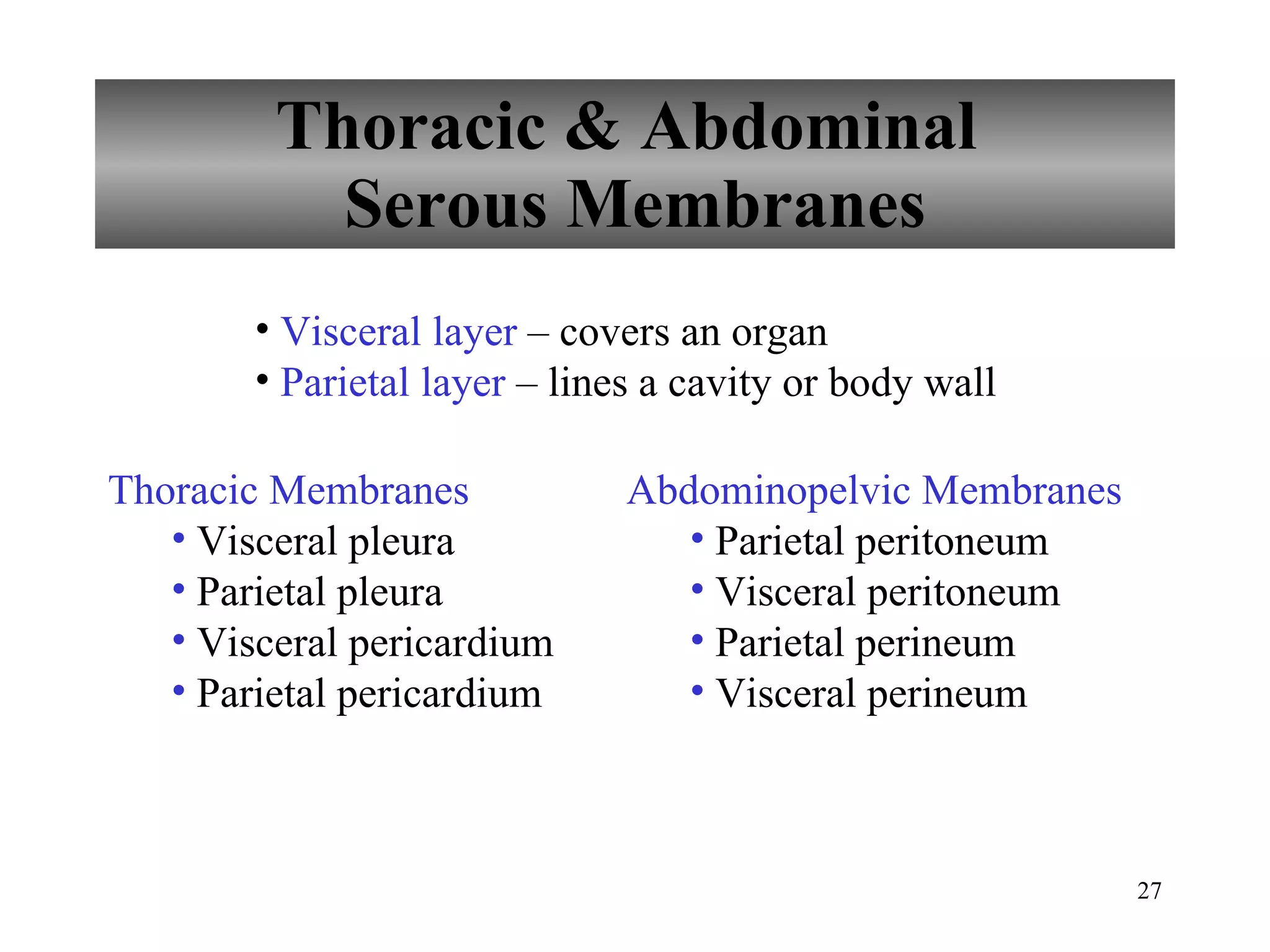 Chapter 1 Introduction to Human Anatomy and physiology | PPT