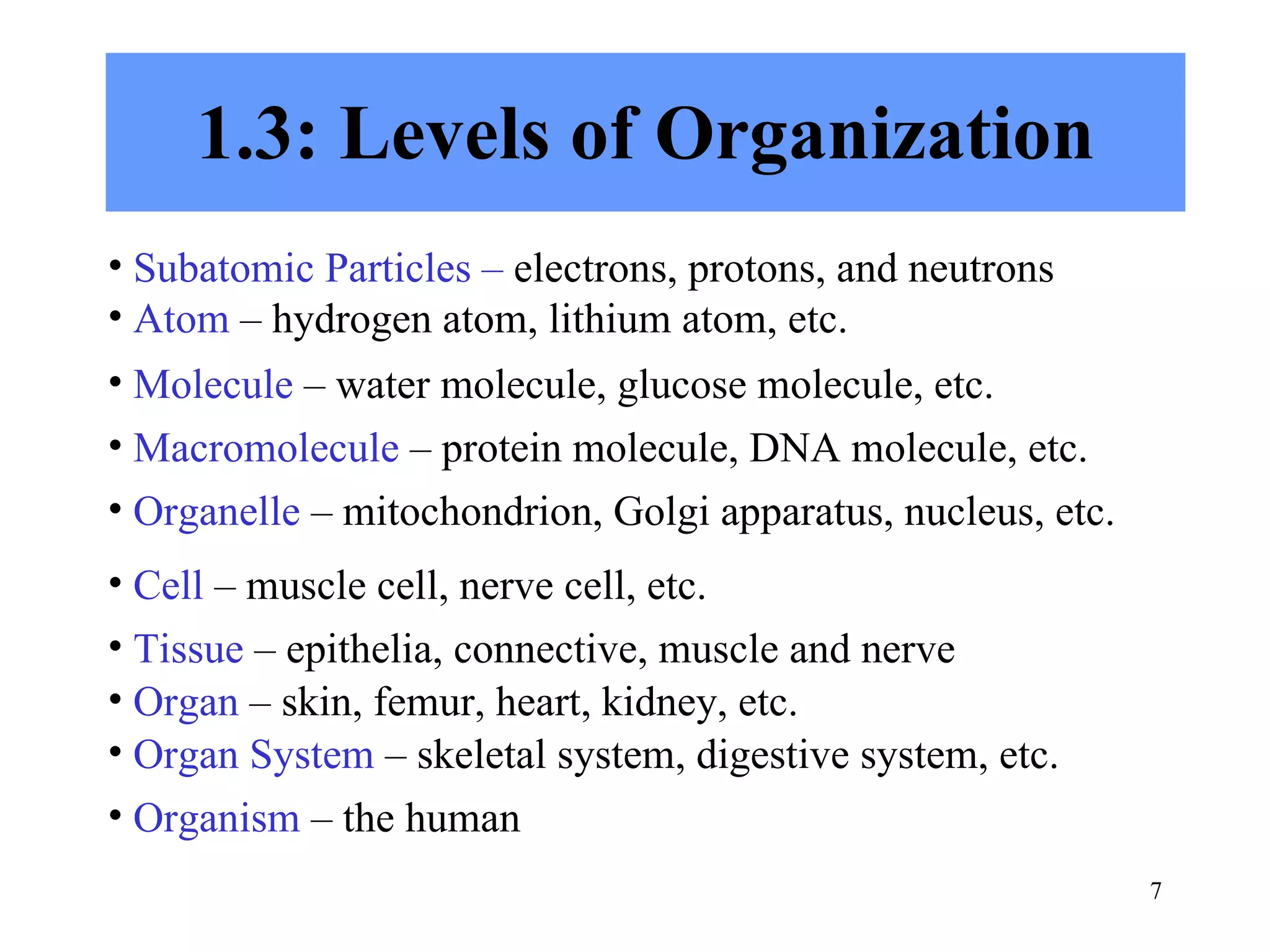 Chapter 1 Introduction to Human Anatomy and physiology | PPT