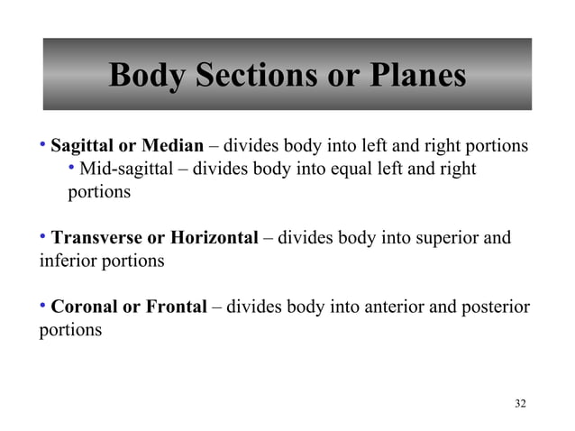 Chapter 1 Introduction to Human Anatomy and physiology | PPT
