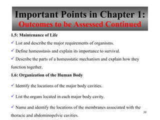 Chapter 1 Introduction to Human Anatomy and physiology | PPT