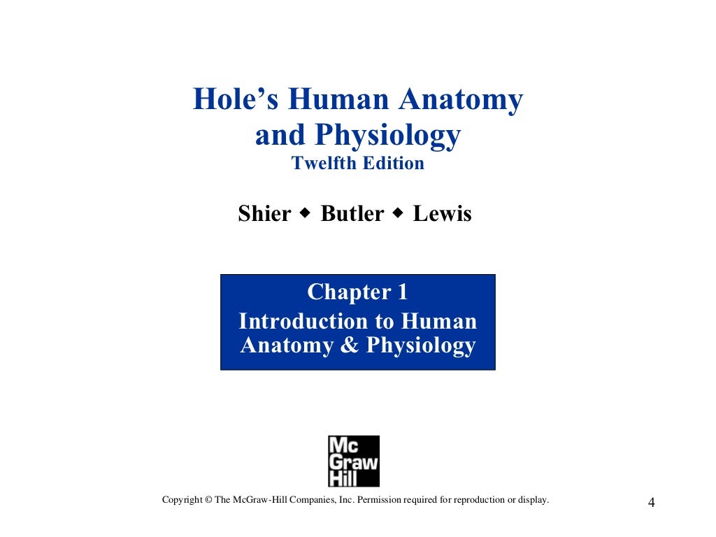 Chapter 1 Introduction To Human Anatomy And Physiology Chapter 1 Introduction To Human Anatomy And Physiology