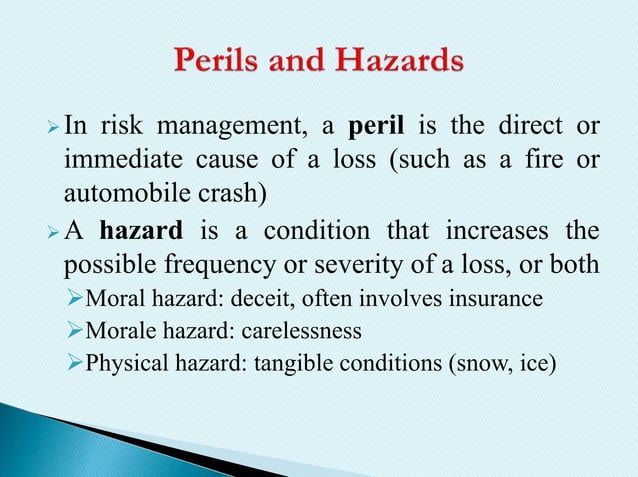 Chapter1 introduction to risk management | PPTX