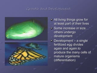 Chapter 1 introduction to science and biology | PPTX