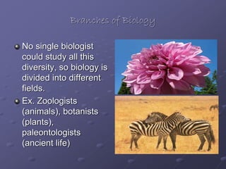 Chapter 1 introduction to science and biology | PPTX