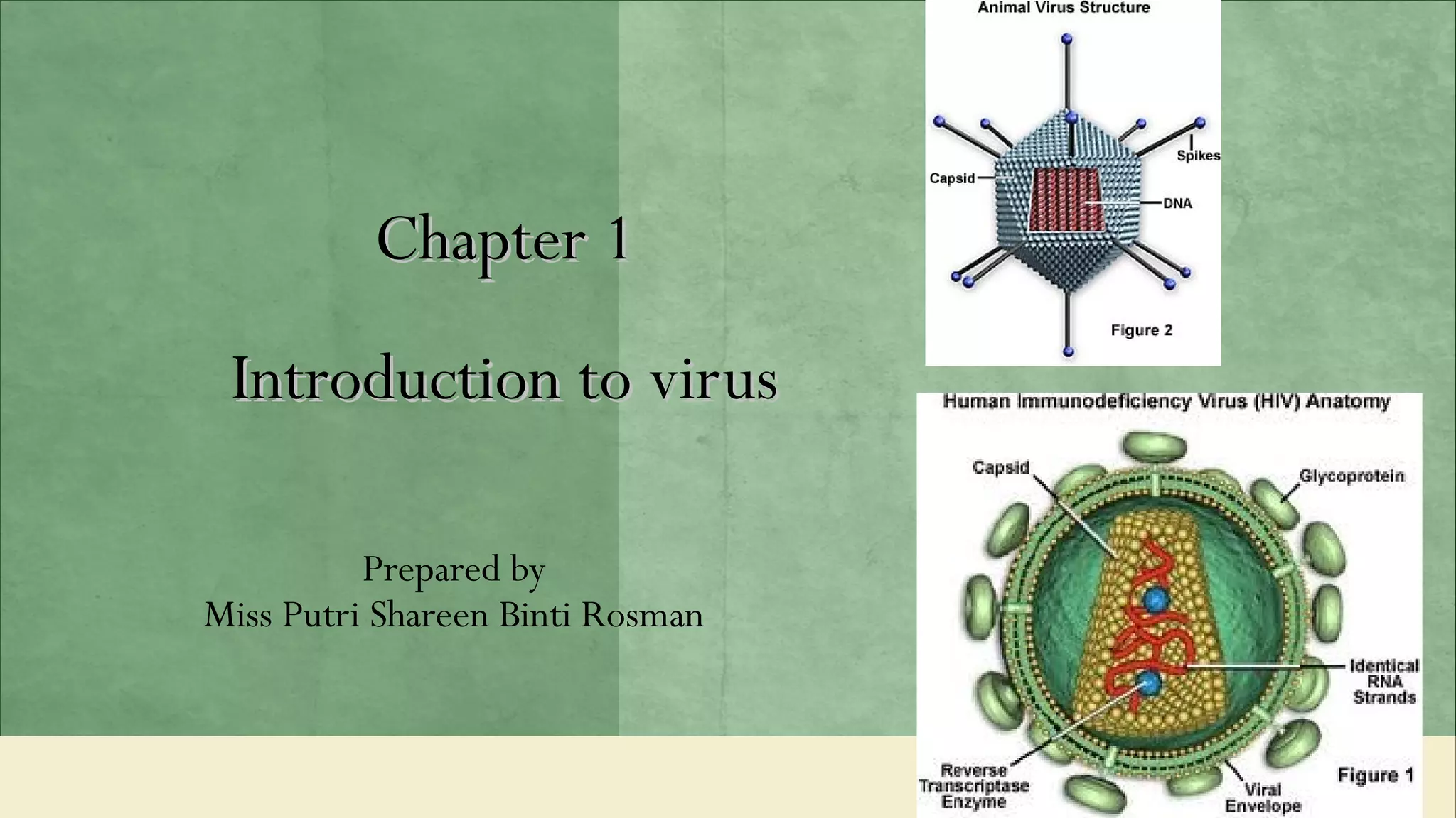Chapter 1 introduction to virus | PPT