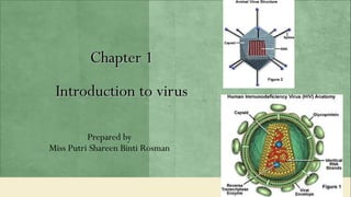 Chapter 1 introduction to virus | PPT