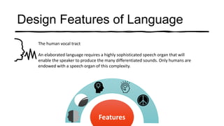 Chapter 1 - Language.pptx