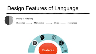 Chapter 1 - Language.pptx