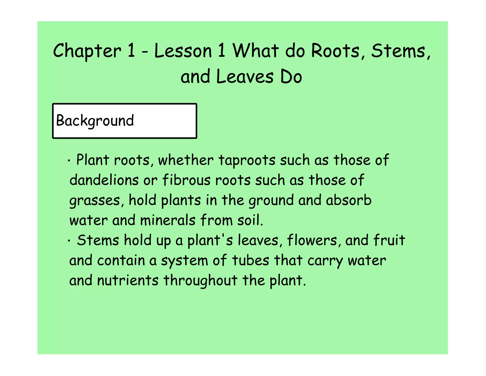 Chapter 1 lesson 1 | PDF