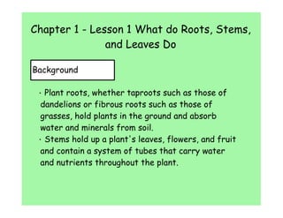 Chapter 1 lesson 1 | PDF