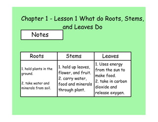 Chapter 1 lesson 1 | PDF