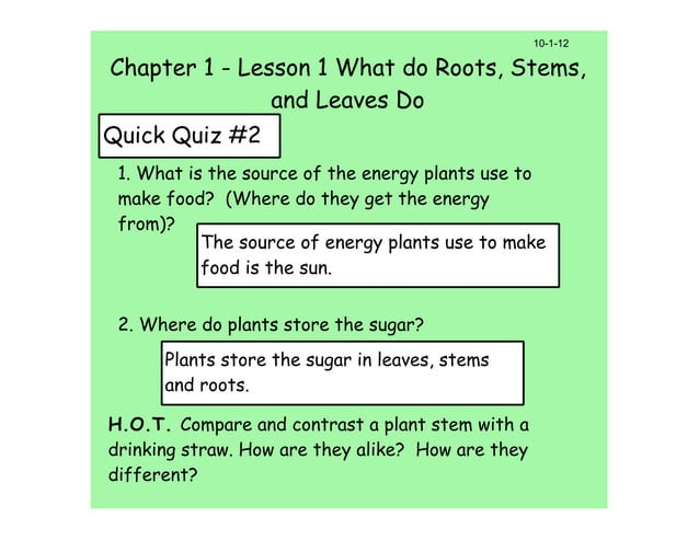 Chapter 1 lesson 1 | PDF