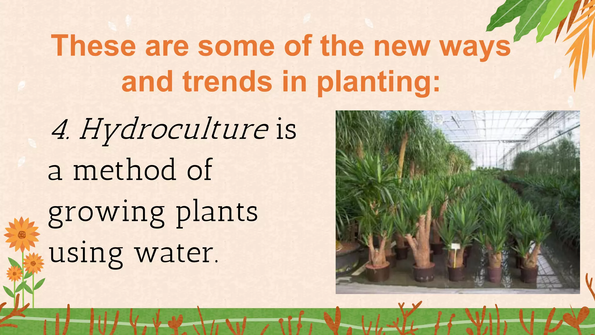 Chapter1-Lesson3-Propagation, Harvest, and Marketing of Ornamental ...