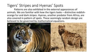 Chapter 1 - Nature of Mathematics.pptx