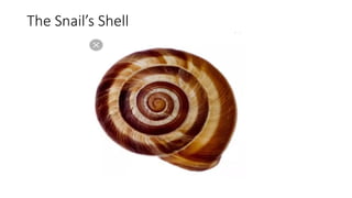 Chapter 1 - Nature of Mathematics.pptx