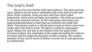 Chapter 1 - Nature of Mathematics.pptx