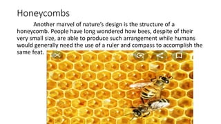 Chapter 1 - Nature of Mathematics.pptx