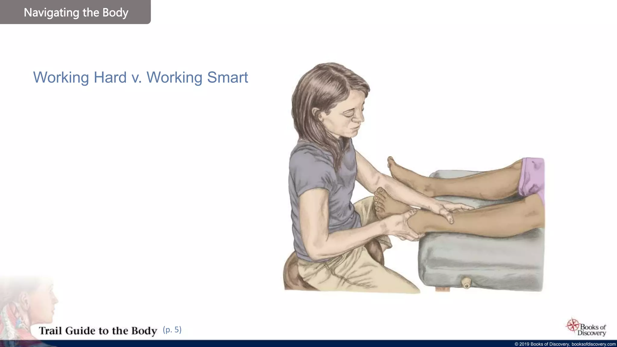 Chapter+1+-+Navigating+the+Body.pptx