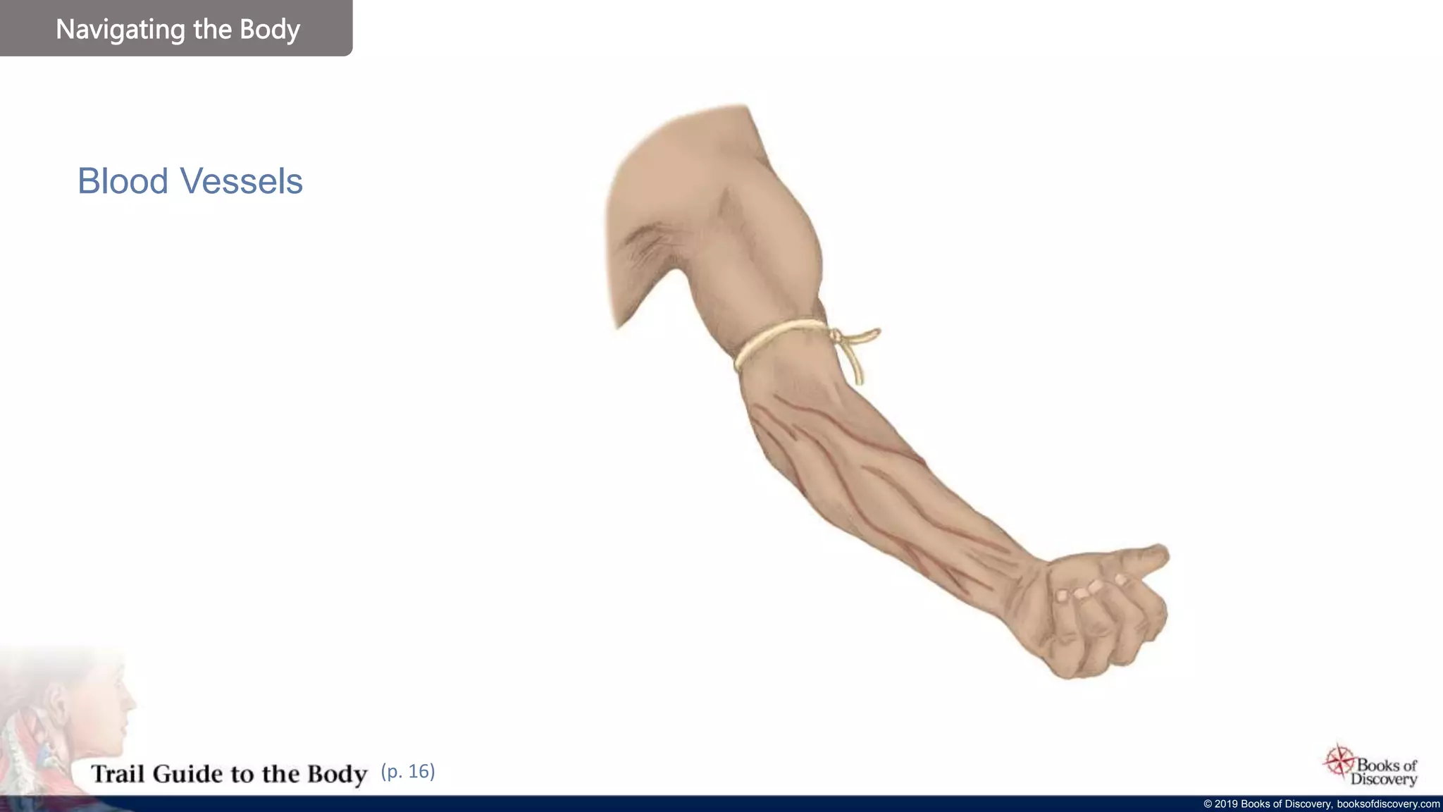Chapter+1+-+Navigating+the+Body.pptx