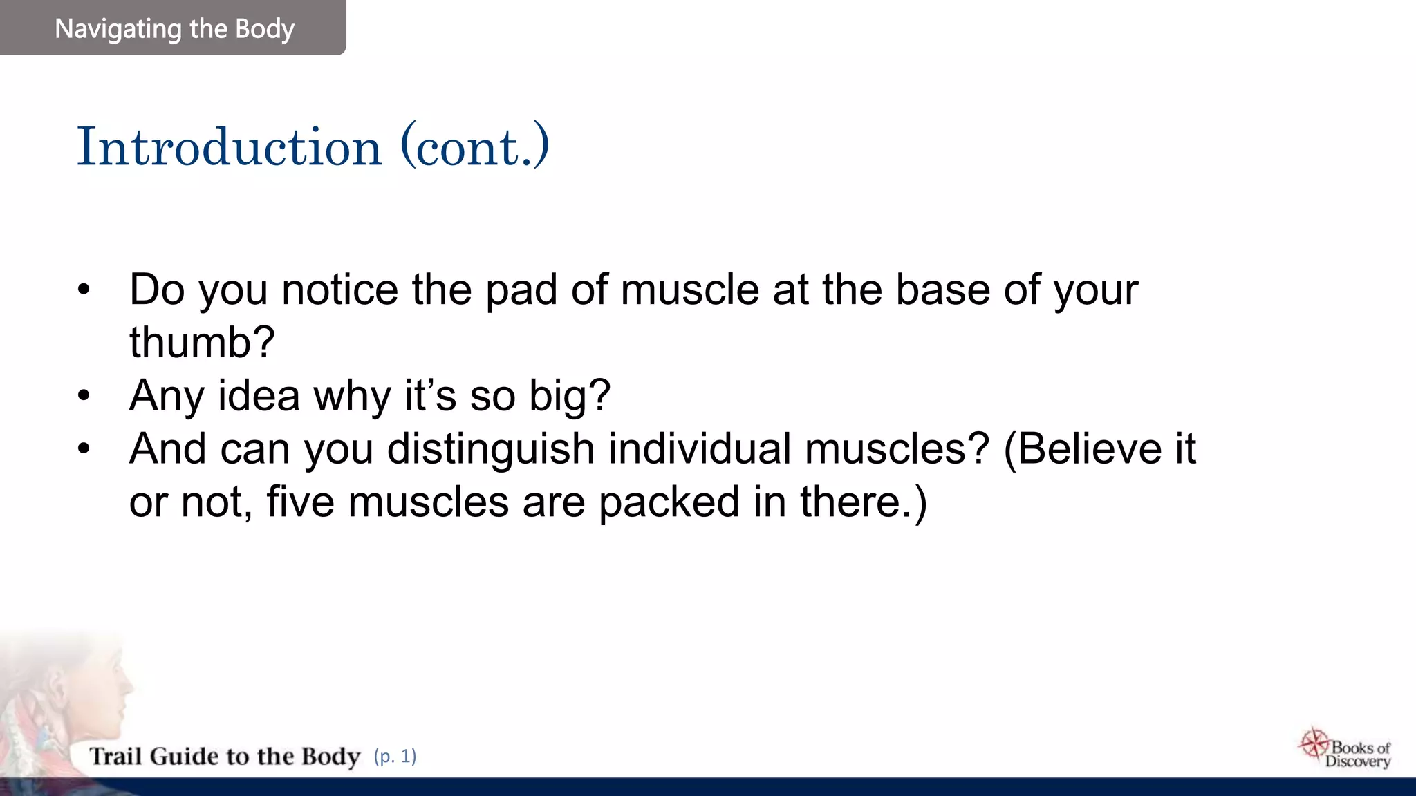 Chapter+1+-+Navigating+the+Body.pptx