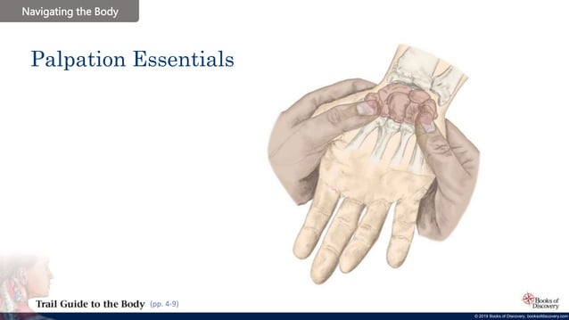 Chapter+1+-+Navigating+the+Body.pptx | Internet for Beginners | Internet