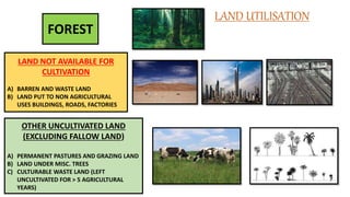Chapter 1 for class x Geography- Resource and development | PPTX