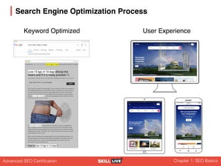 Chapter 1: SEO Basics | PDF | Search | Internet