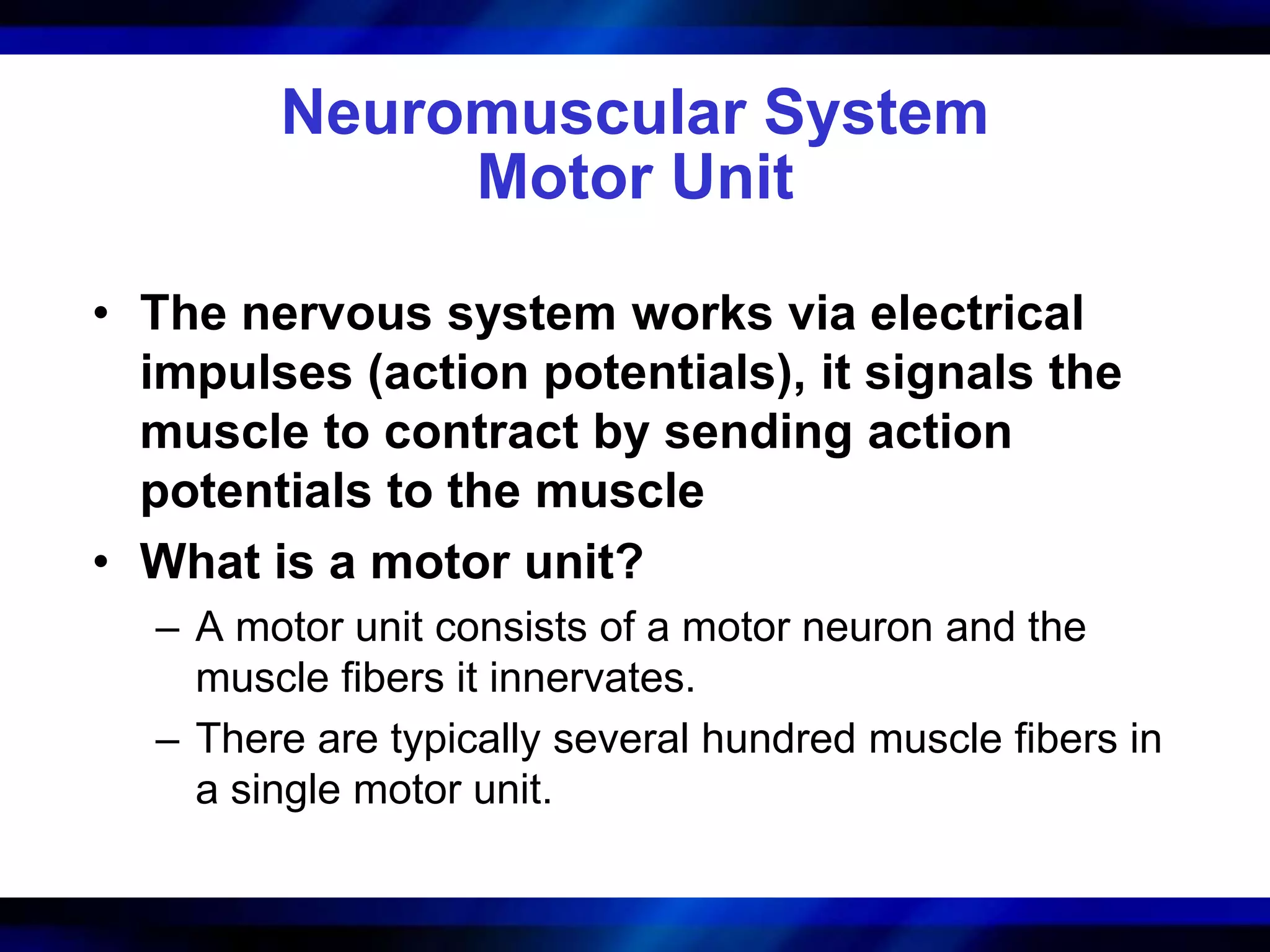 Chapter 1 structure and function of the muscular, neuromuscular ...