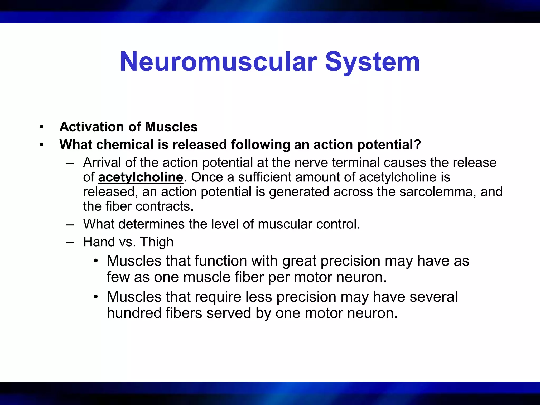 Chapter 1 structure and function of the muscular, neuromuscular ...