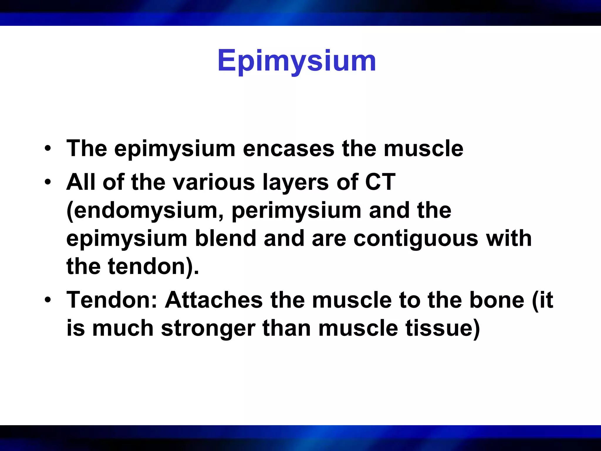 Chapter 1 structure and function of the muscular, neuromuscular ...
