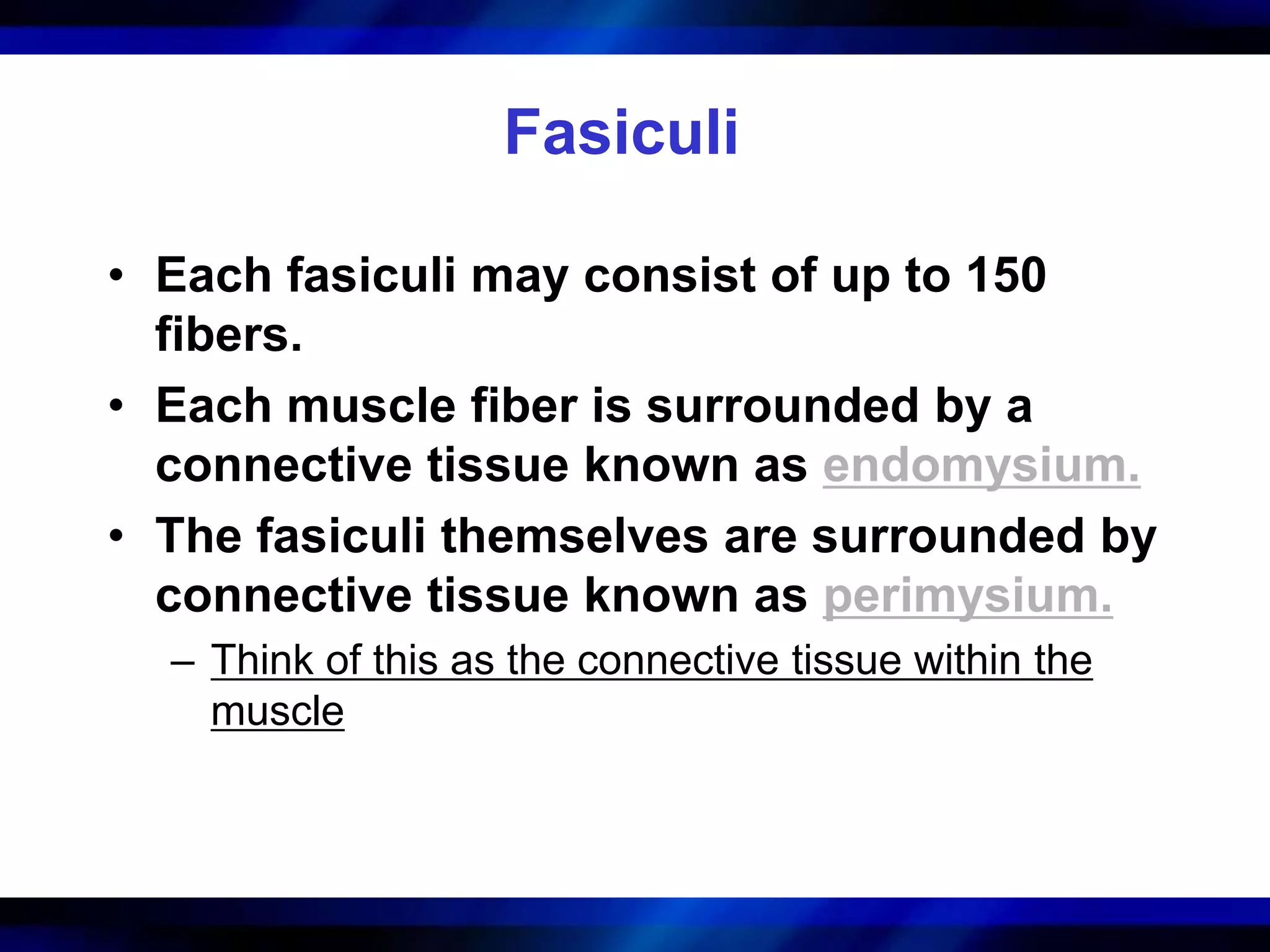 Chapter 1 structure and function of the muscular, neuromuscular ...