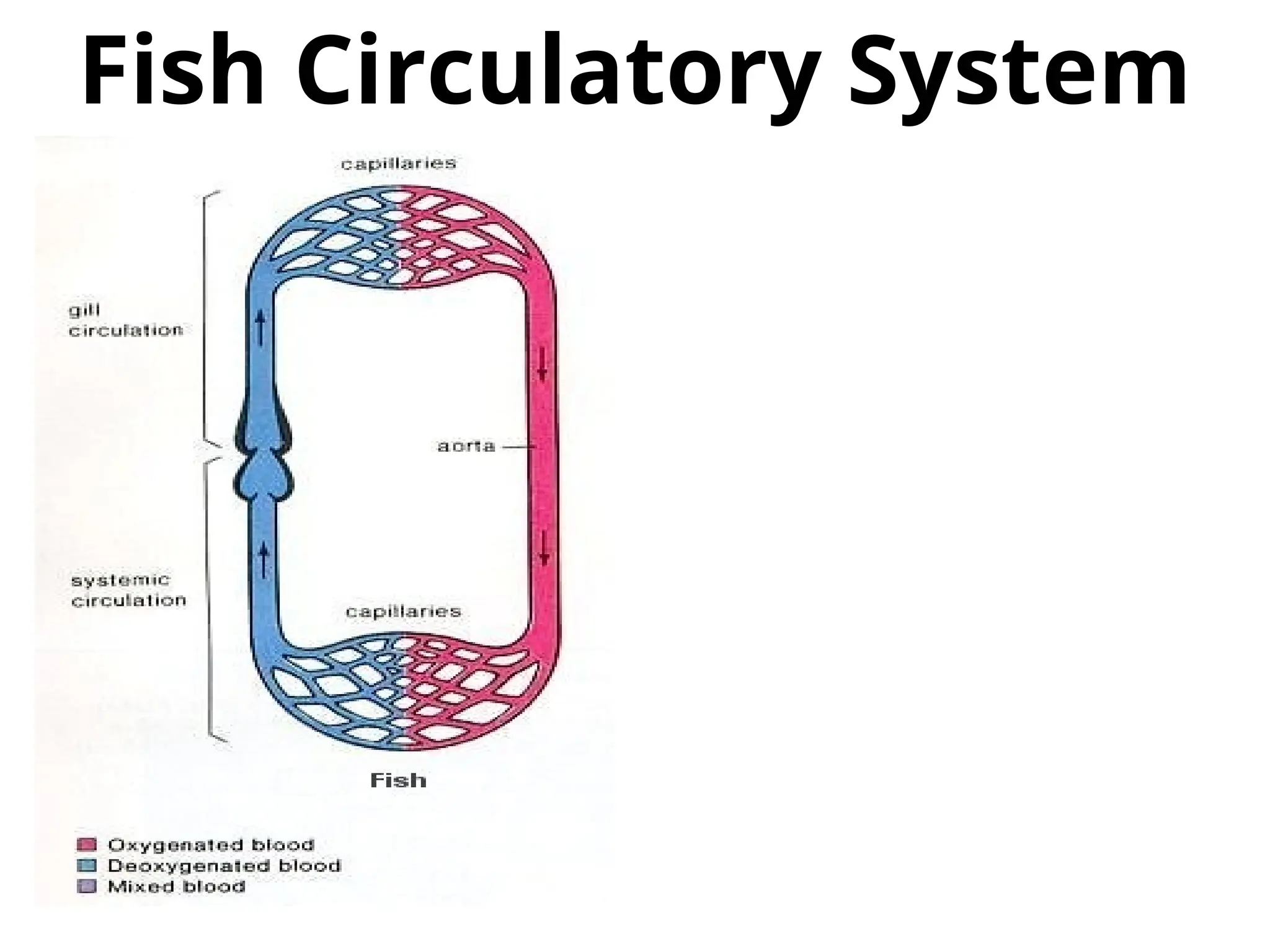 cHaPtEr 1 - FORM 5 BIO students notes.ppt
