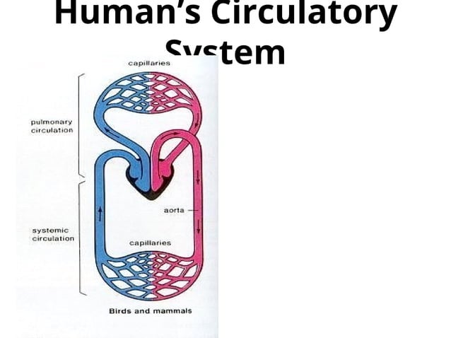 cHaPtEr 1 - FORM 5 BIO students notes.ppt