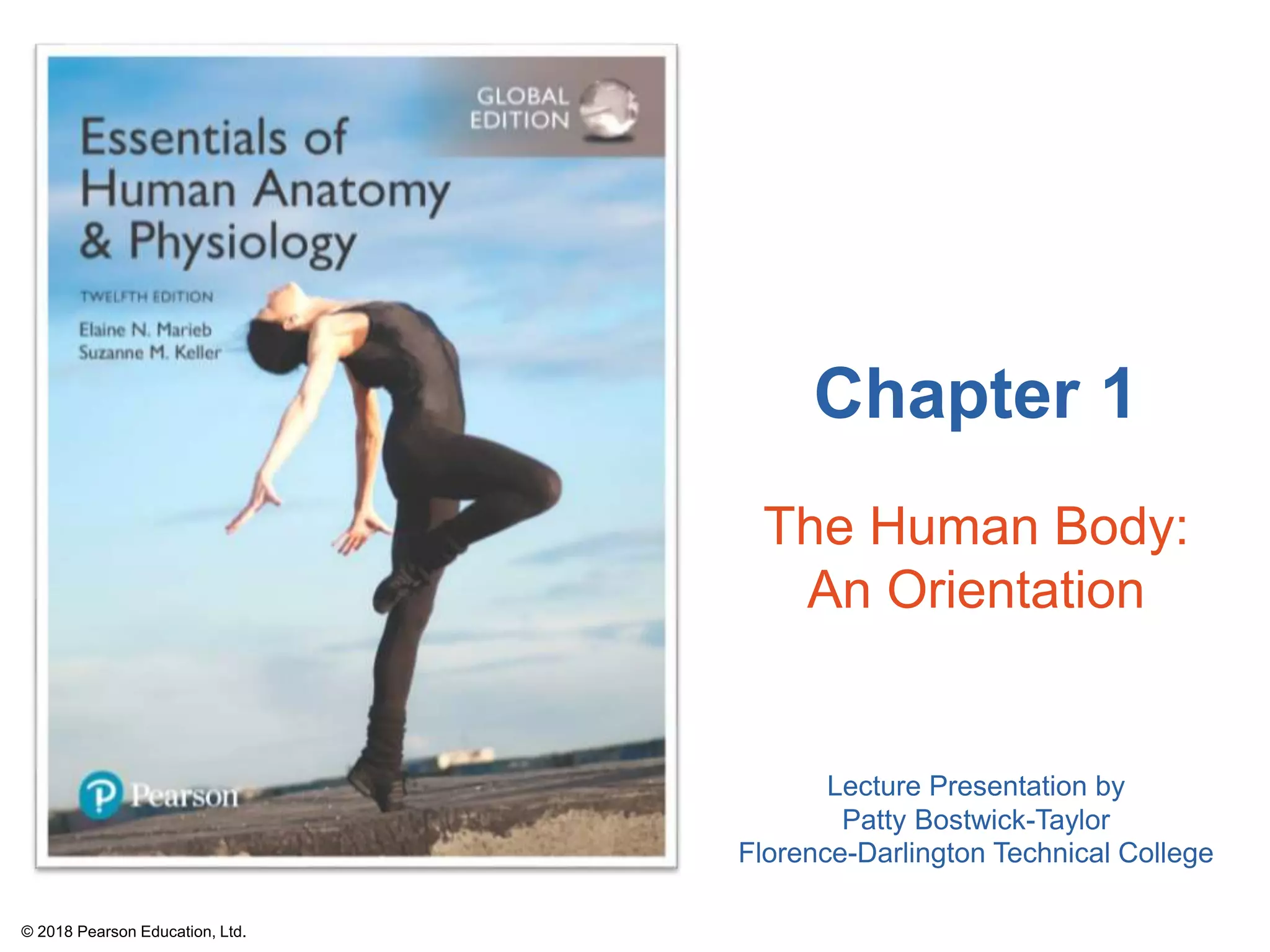 CHAPTER 1-THE HUMAN BODY-AN ORIENTATION.pptx