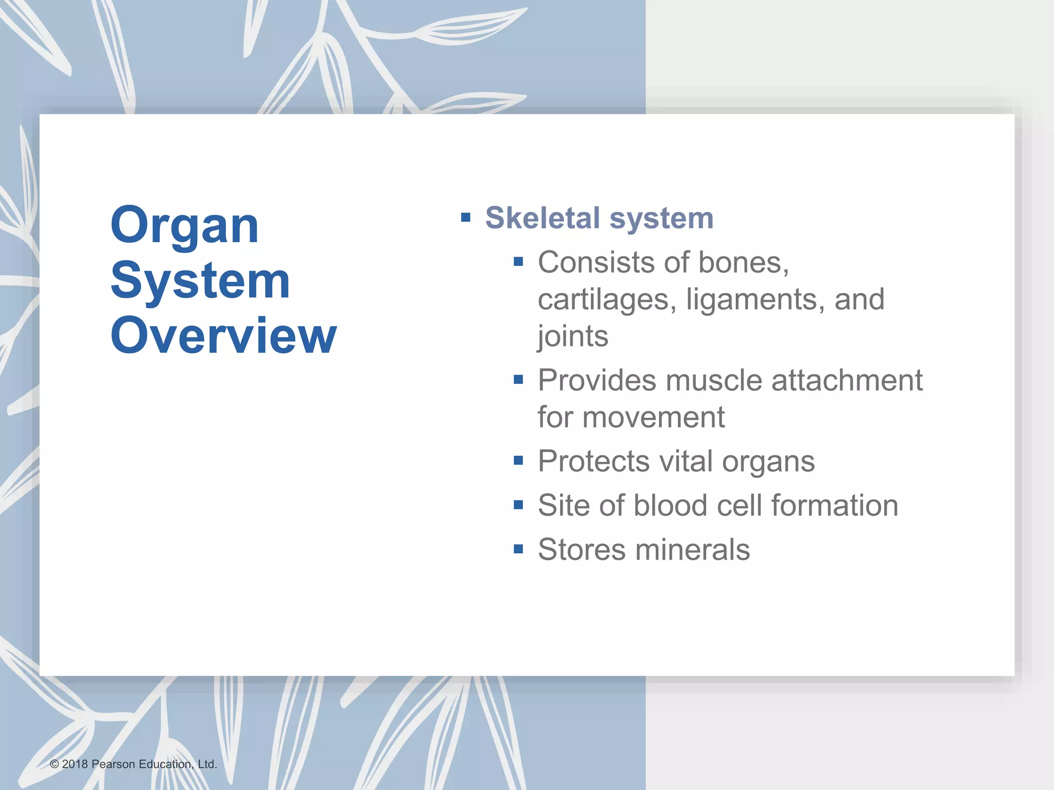 CHAPTER 1-THE HUMAN BODY-AN ORIENTATION.pptx