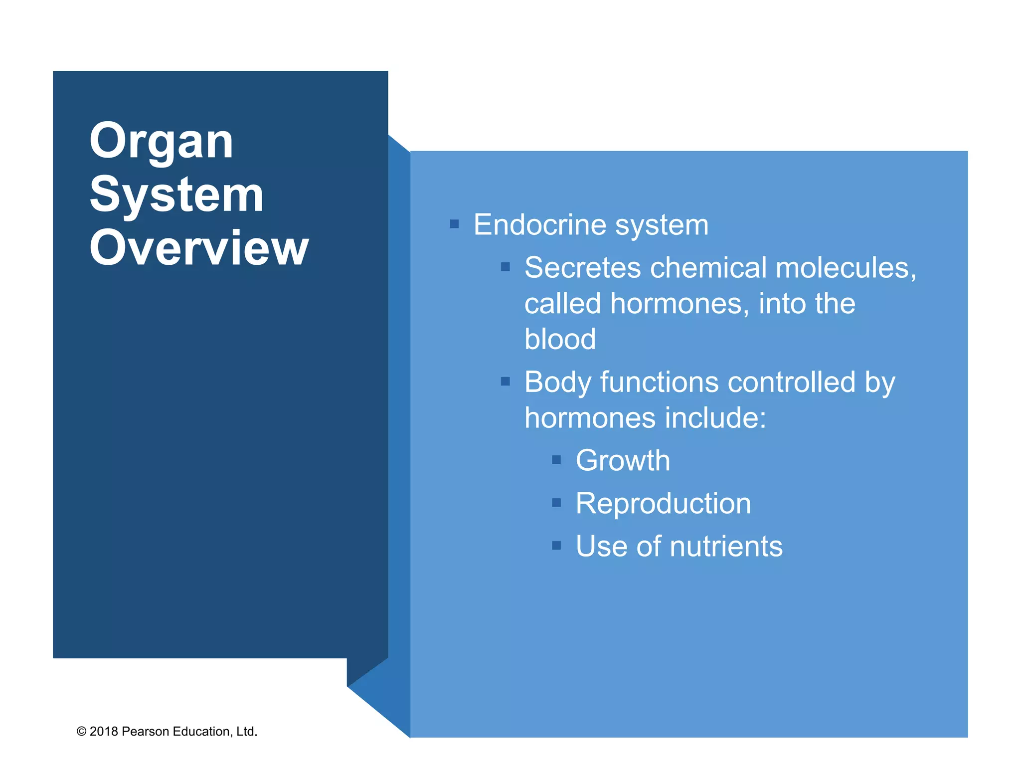 CHAPTER 1-THE HUMAN BODY-AN ORIENTATION.pptx
