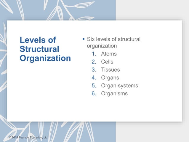 CHAPTER 1-THE HUMAN BODY-AN ORIENTATION.pptx