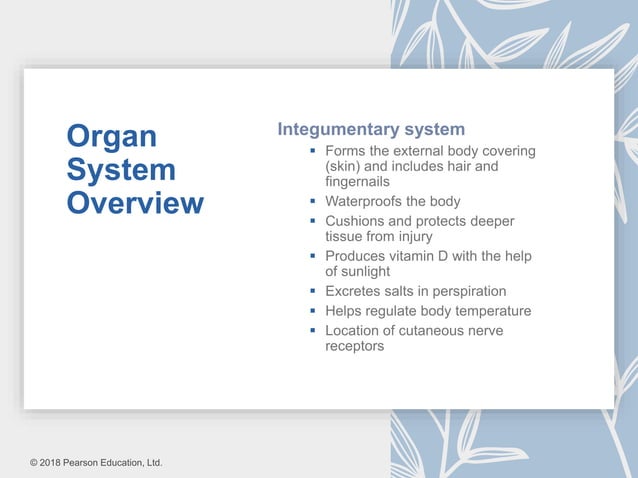 CHAPTER 1-THE HUMAN BODY-AN ORIENTATION.pptx