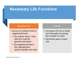 CHAPTER 1-THE HUMAN BODY-AN ORIENTATION.pptx