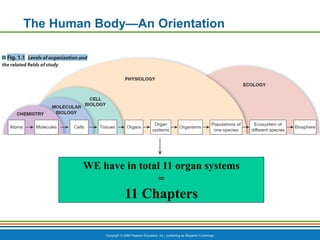 Chapter 1 - The Human Body An Orientation.pdf