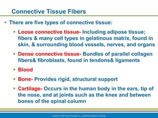 Chapter 1 - The Human Body An Orientation.pdf