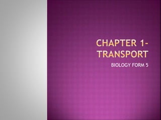 Chapter 1: Transport | PPT