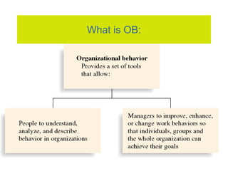 Chapter 1 what is ob | PPT