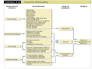 Chapter 1 what is ob | PPT