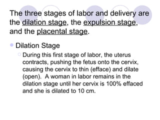 Chapter 10 | PPT | Pregnancy | Reproductive Health