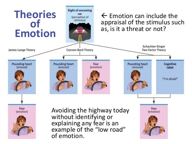 PSY 150 401 Chapter 10 SLIDES