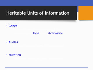 mendelian genetics.ppt