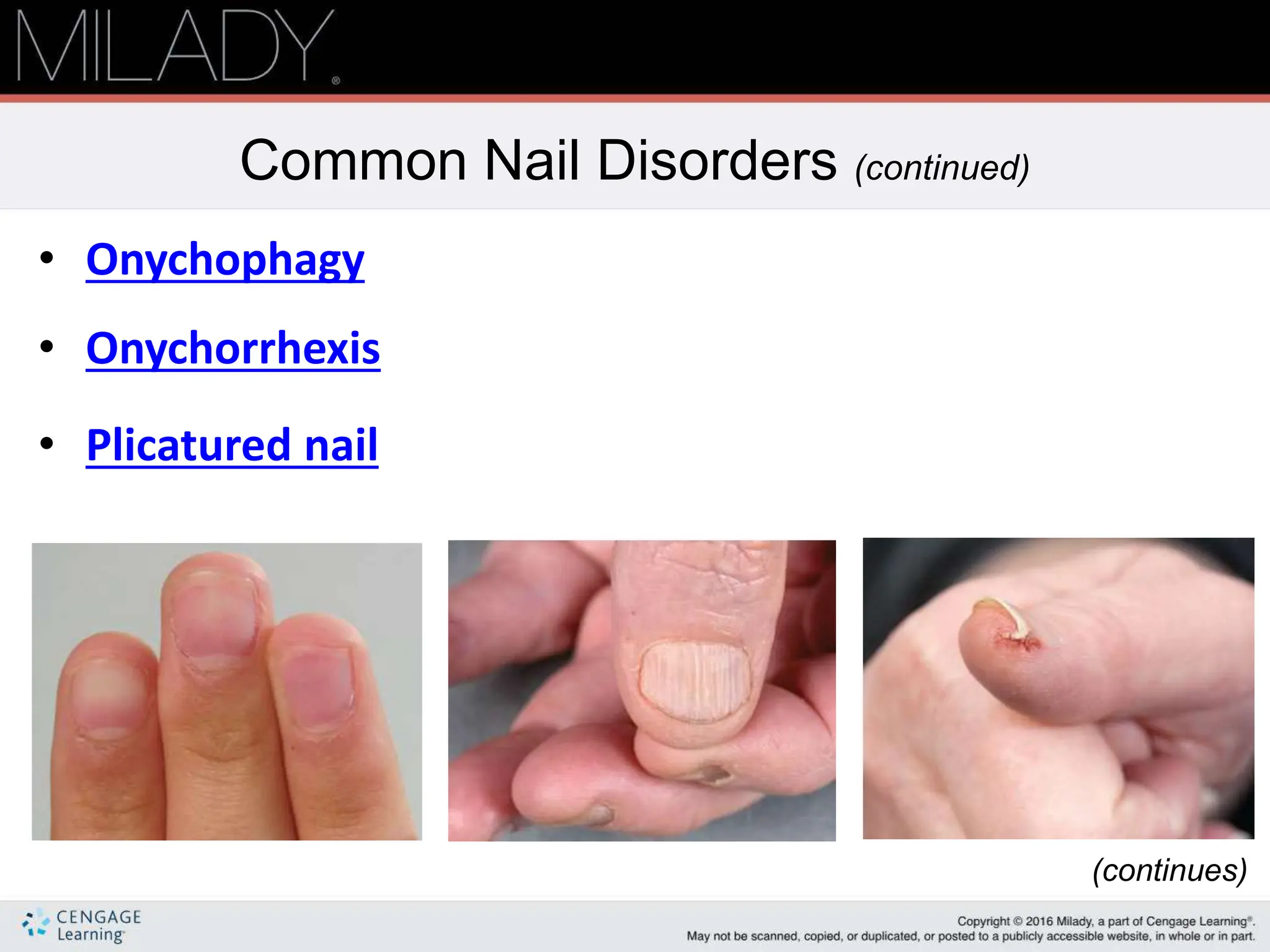 Nail disorders and diseases; Basic Introducion | PPTX