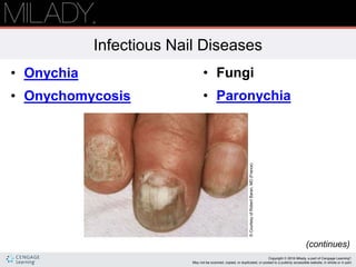 Nail disorders and diseases; Basic Introducion | PPTX