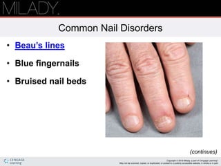 Nail disorders and diseases; Basic Introducion | PPTX